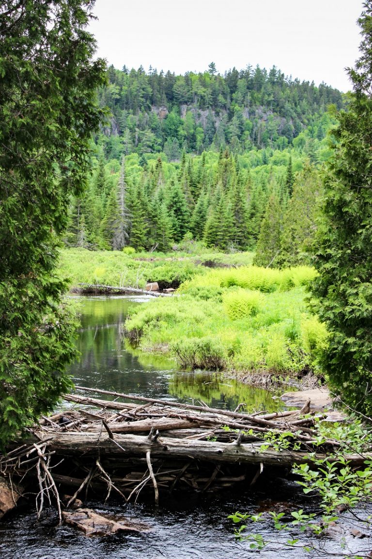 Parc de la Mauricie au Québec : infos sur sa visite & retour d ...