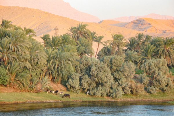 Croisière sur le Nil en Egypte : conseils & retour d'expérience pour ...