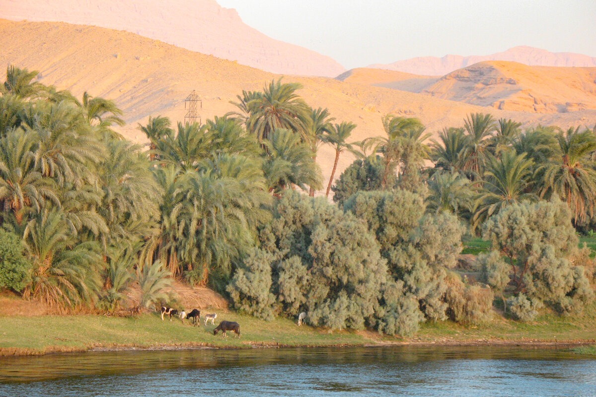 Croisière sur le Nil en Egypte : conseils & retour d'expérience pour ...