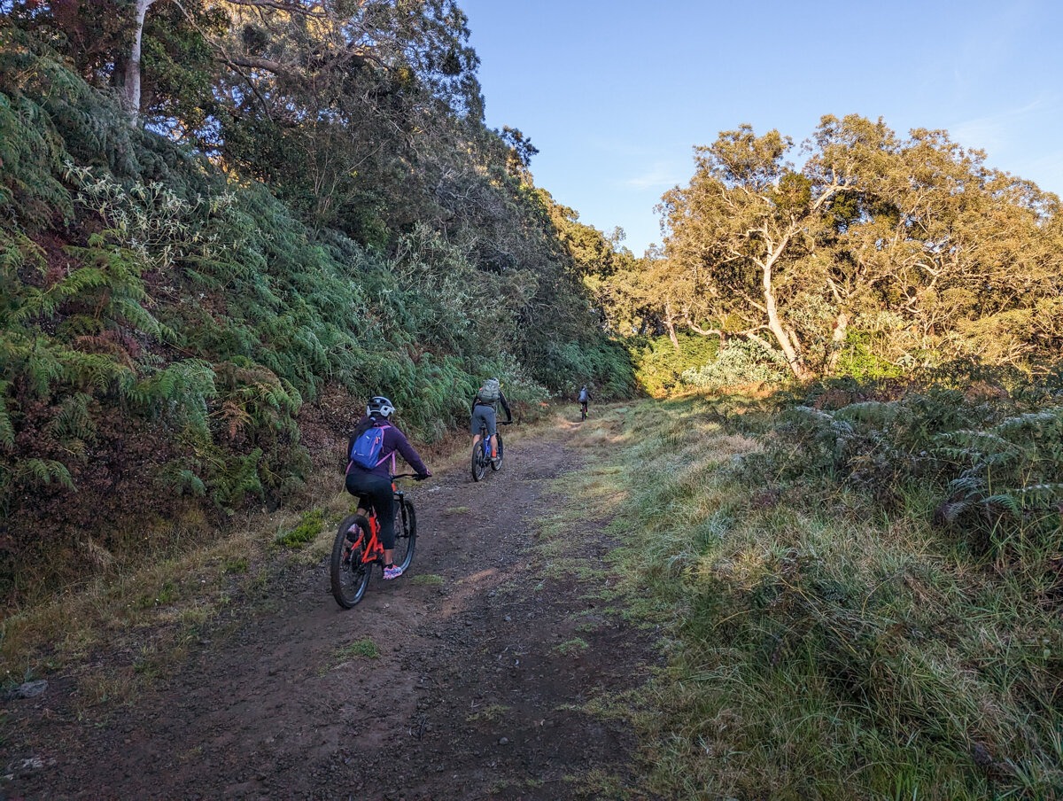 VTT à La Réunion : infos & retour d'expérience sur la descente du Maido ...