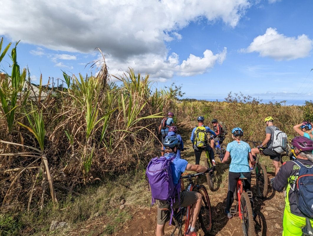 Activités à La Réunion : retour d'expérience et lesquelles privilégier ...