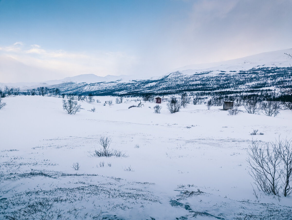 Abisko : que faire en hiver ? Infos et retour d'expérience - Hashtag Voyage